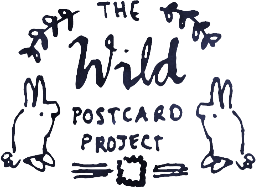 We believe in a better world.